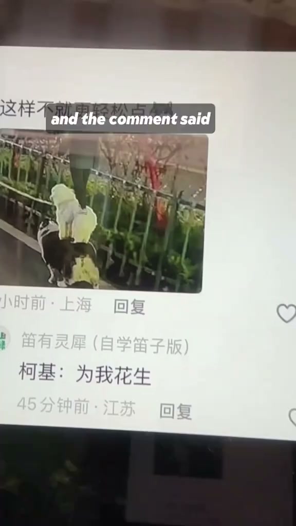 Unbelievable dog walking hack from Chinese social media