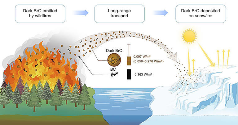Wildfire dark brown carbon has strong global warming effects, study finds
