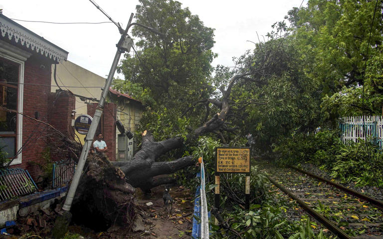 7 dead after heavy rain with thunderstorms lash Kolkata, south Bengal