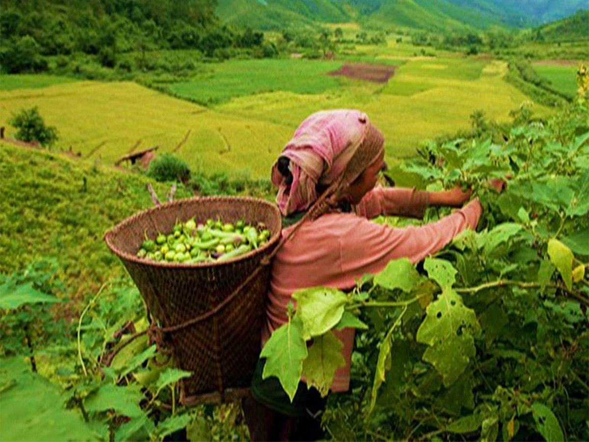 Mizoram sees Rs 339 crore development investment from NEC