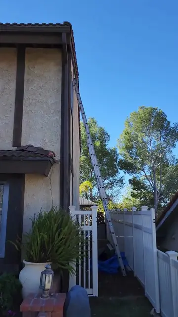 Hidden roof beehive reveals a massive honey stash
