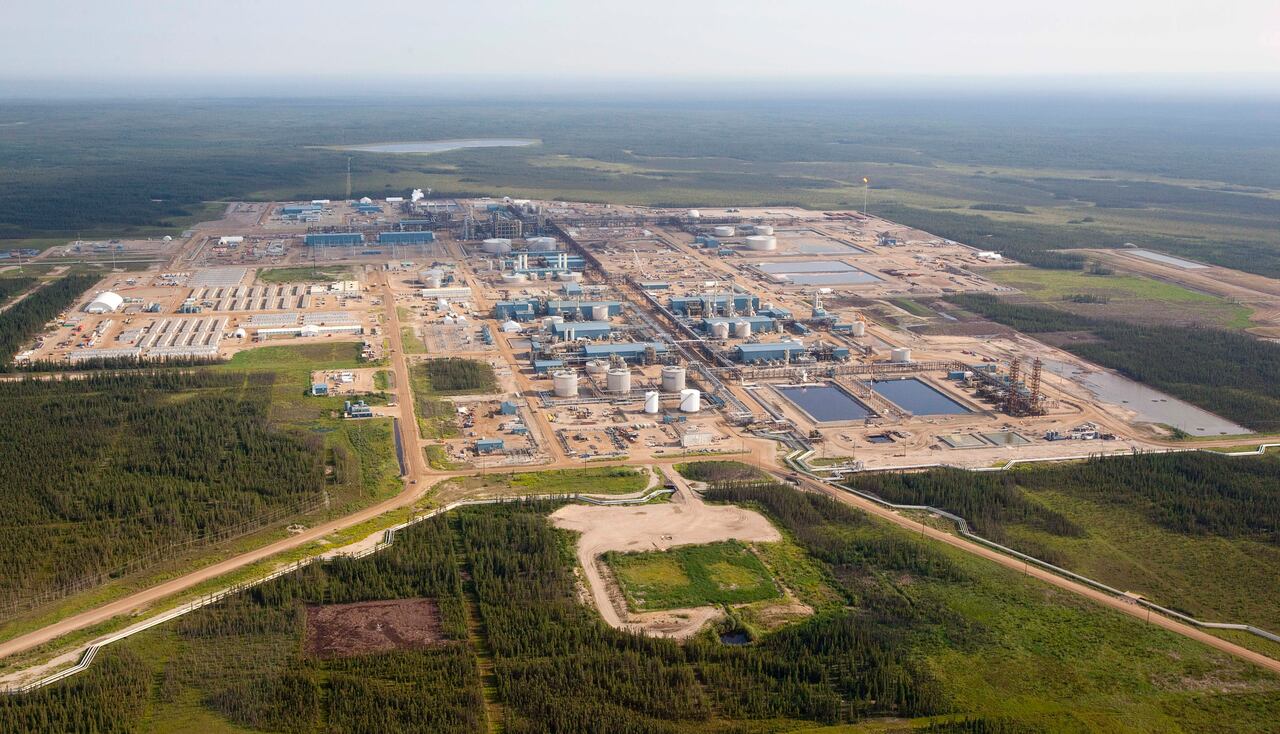 Regulator investigating 95 dead birds at Suncor site north of Fort McMurray