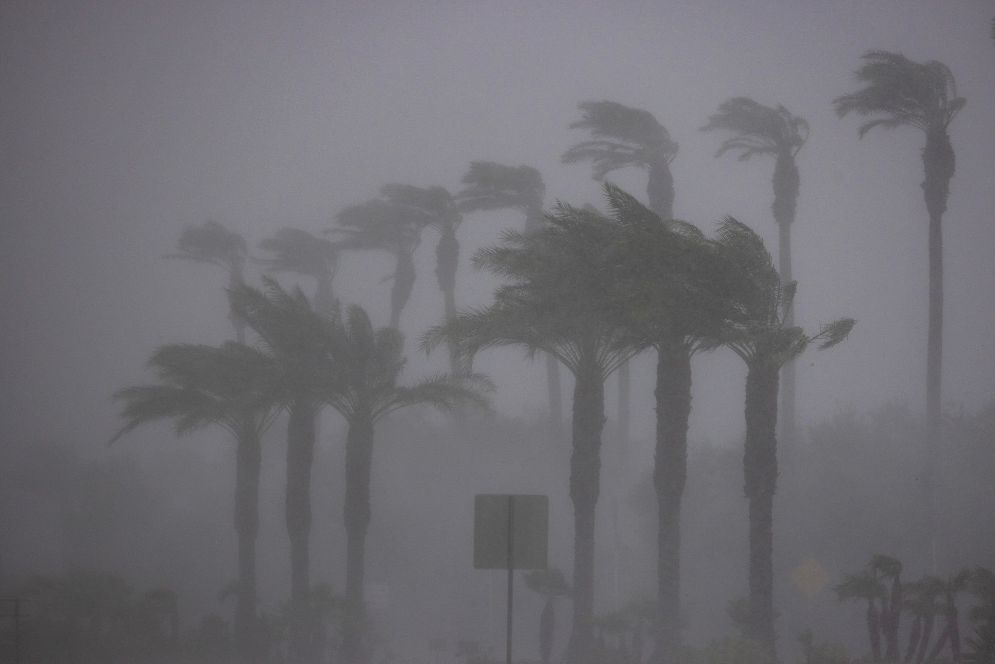 First tropical storm of 2026 could form next week