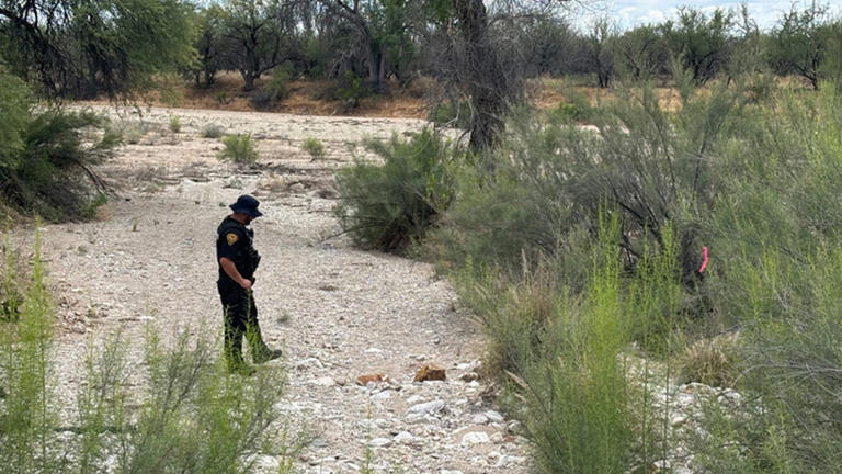 Nancy Guthrie: Expert says human bones found miles from her home are up ...