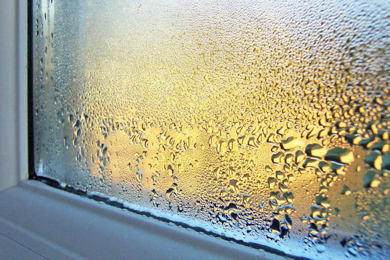 I followed Martin Lewis' advice and now have no condensation on my windows