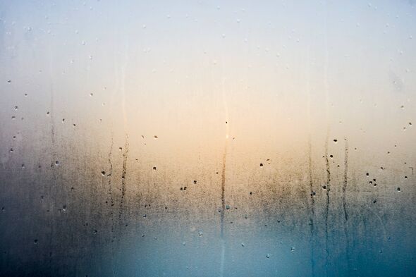 'I listened to Martin Lewis' advice - my windows are always clear from ...