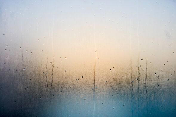'I listened to Martin Lewis' advice - my windows are always clear from ...