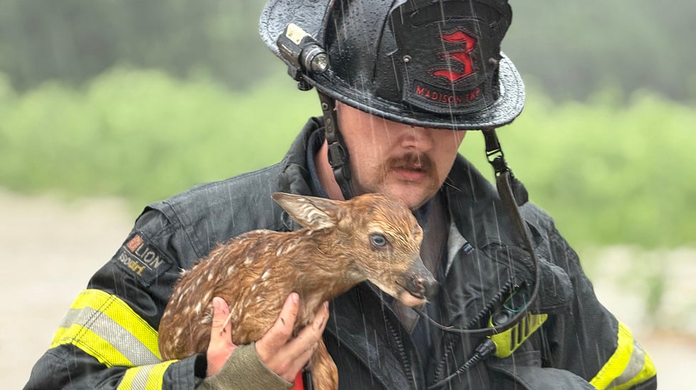 Firefighters save baby deer from fast-moving flood