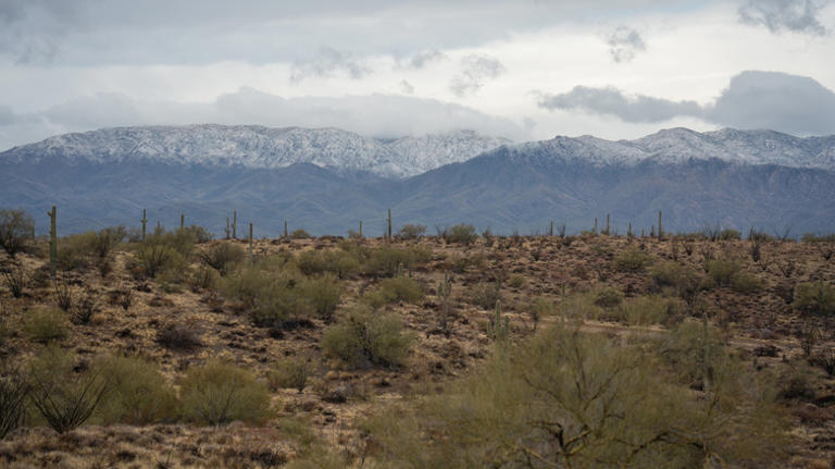 Between Los Angeles and Phoenix is Arizona's desert community with ...