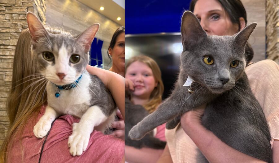Adopt a pet: Meet Archie and Xena!