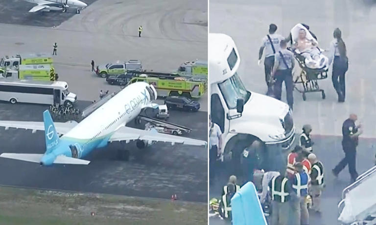 Four passengers pass out aboard sweltering plane often used for ICE ...