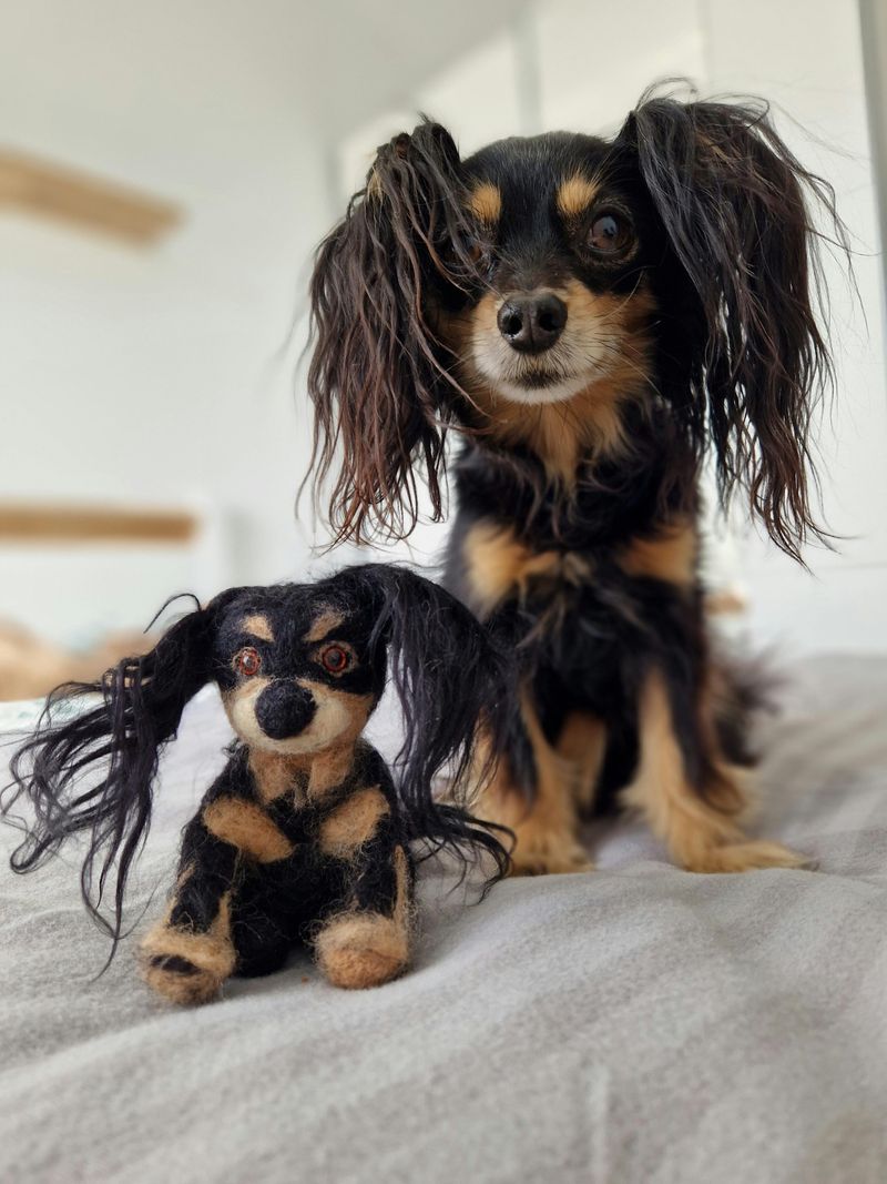 The world's 15 tiniest dog breeds