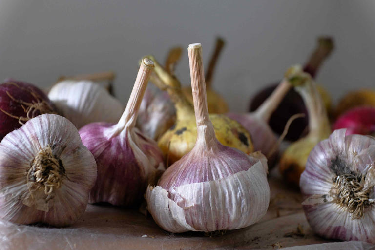 How to use garlic in your garden to repel pests naturally