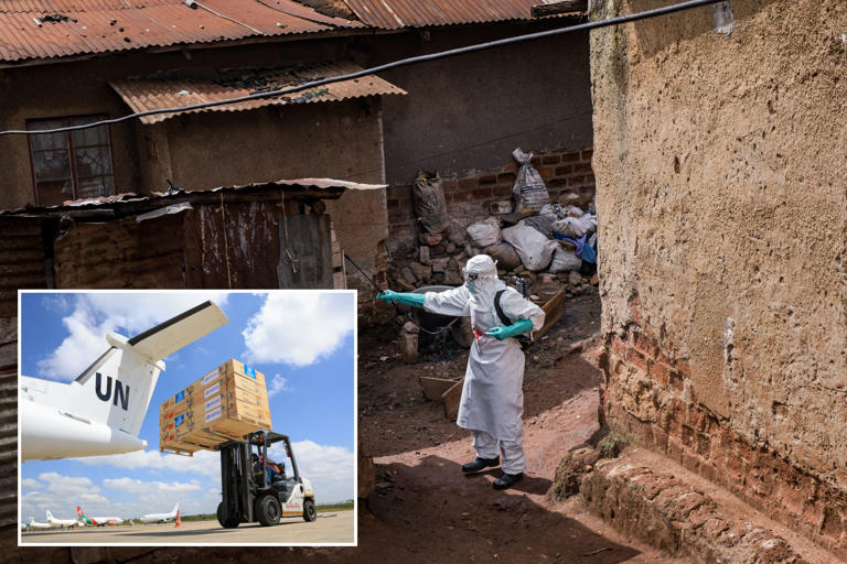 Kenya court suspends US plan to establish Ebola quarantine facility for ...