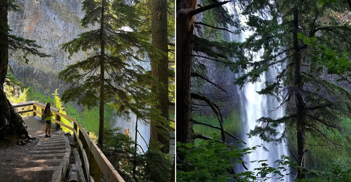 Oregon’s shortest scenic trail is only 0.6 miles, but it passes a ...