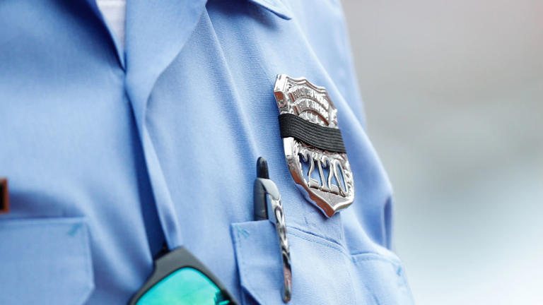 Atlanta judge Eleanor Ross at center of sex-in-chambers cop scandal