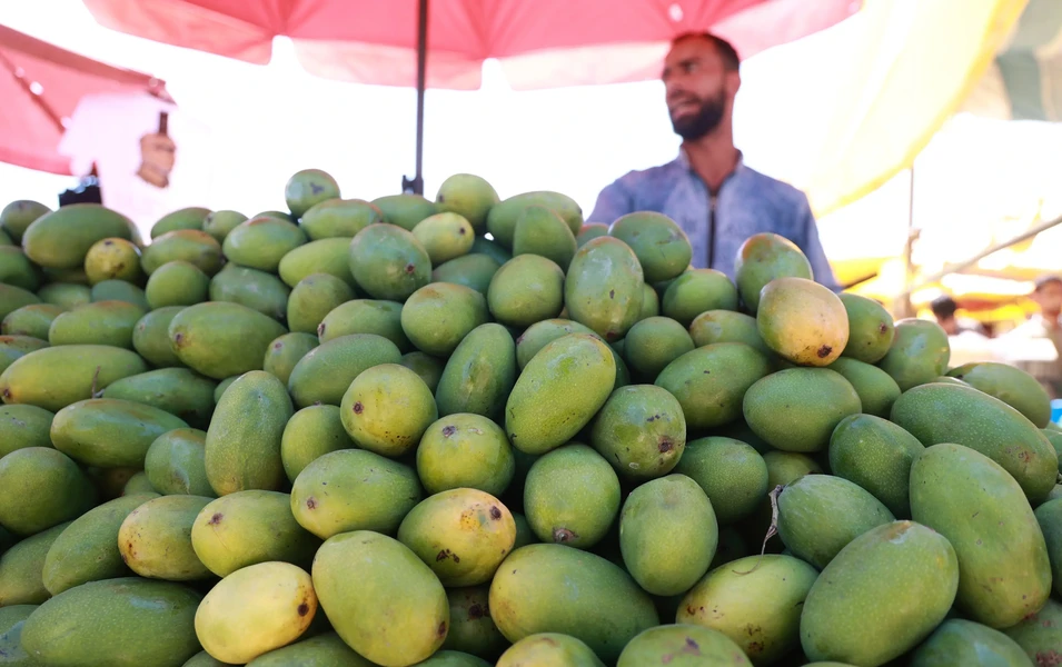 Mango magic to sweeten your summer days