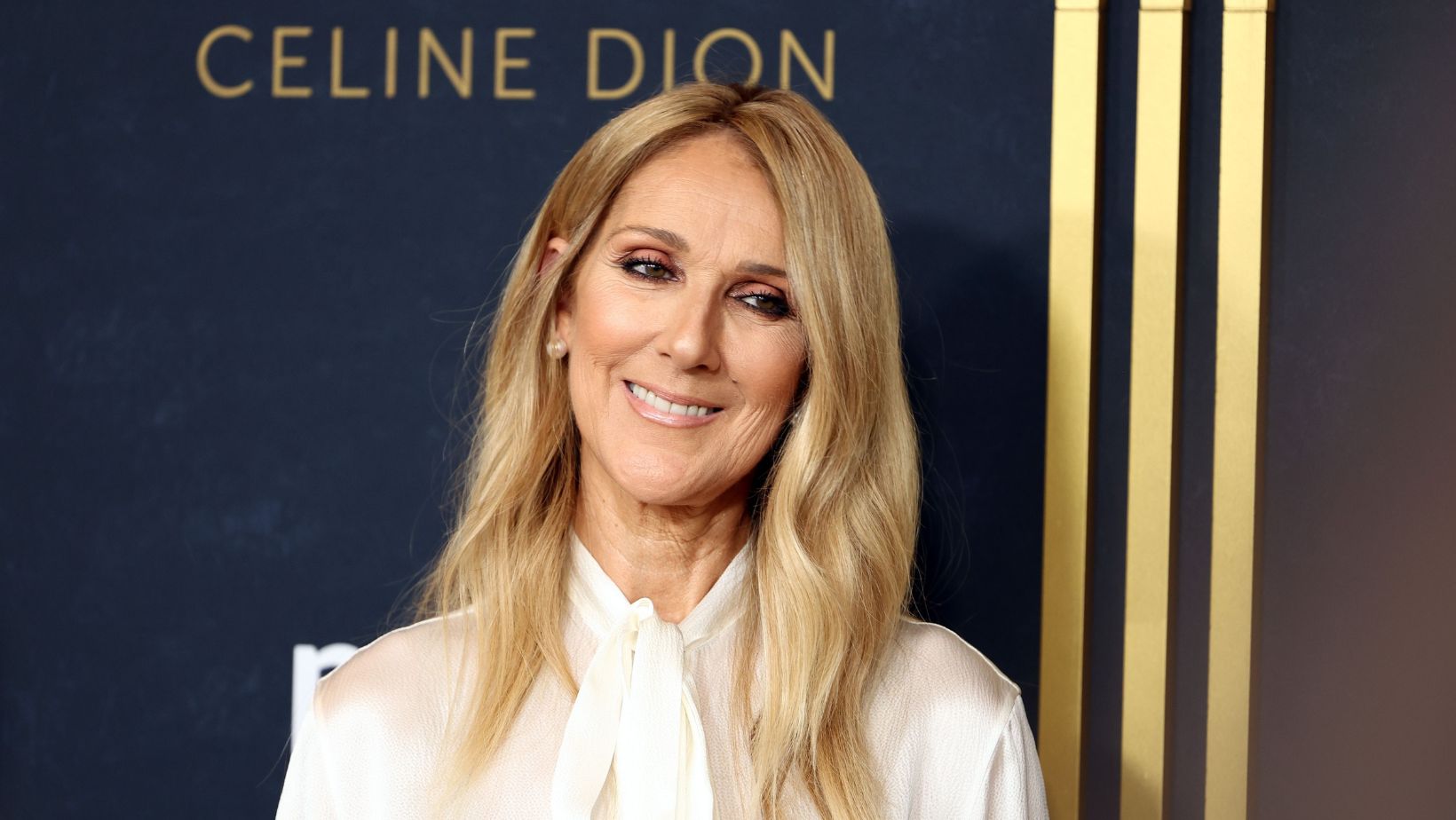 A major television project about Céline Dion is reportedly in the works