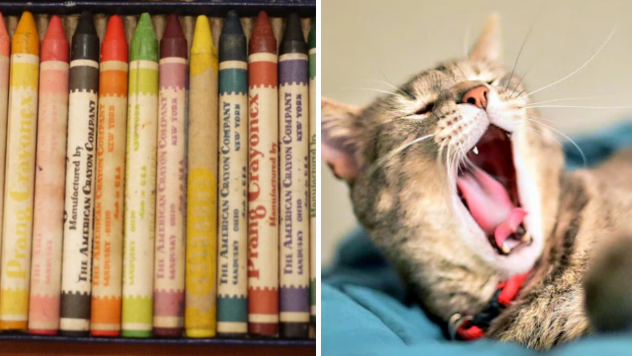 25 weird smells people secretly love