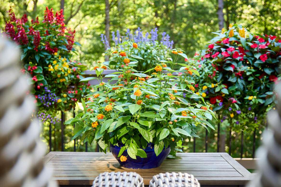 4 small-space gardening tricks that make any balcony feel lush