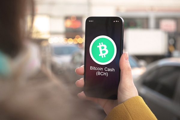 Bitcoin Cash price prediction: downside risks loom as BCH dips to $300