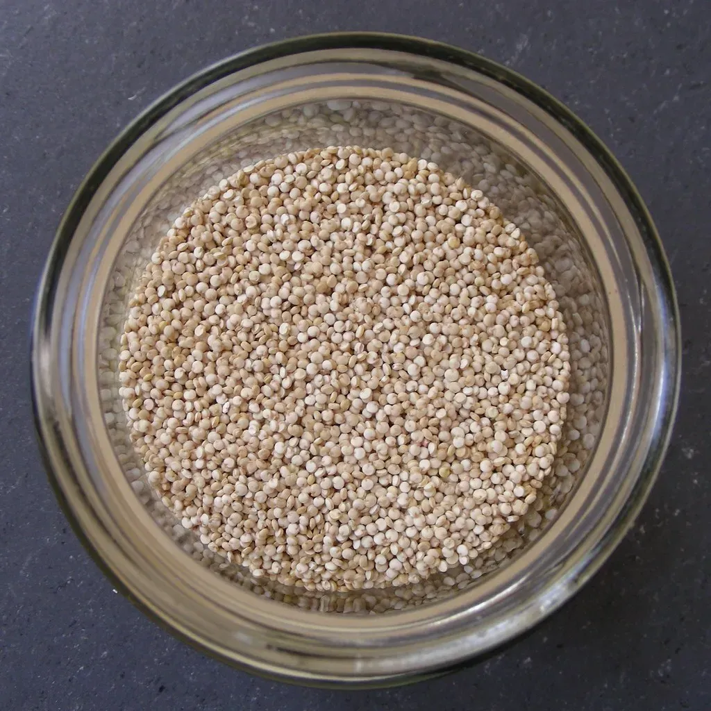 The ancient grain alert: 12 trendy superfoods that are just clever ...