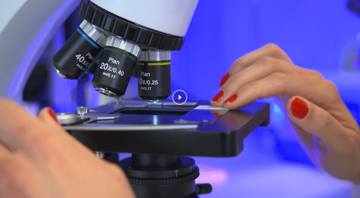 Agios slides after discontinuing development of tebapivat in ...
