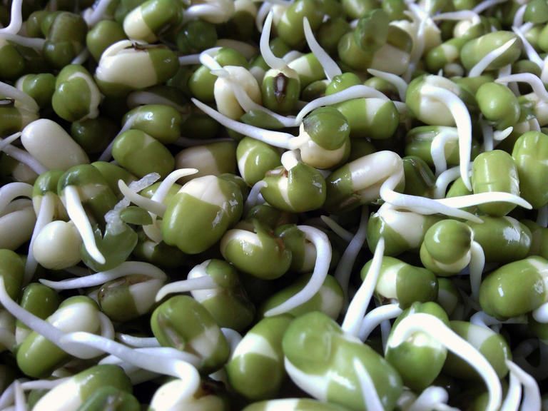 Why sprouting your grains and seeds unlocks hidden nutritional benefits