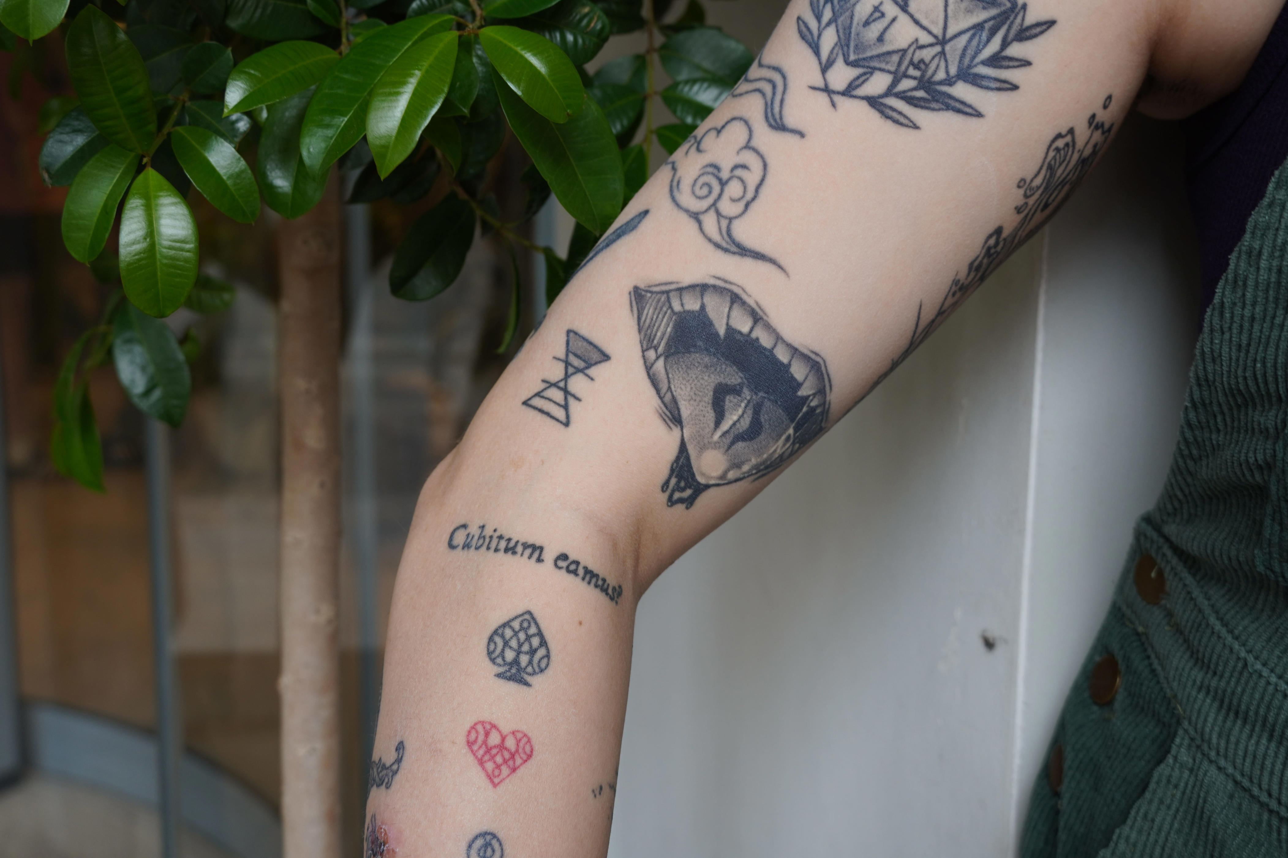 From ACOTAR to 'Goodnight Moon,' tattoo ideas for every book lover