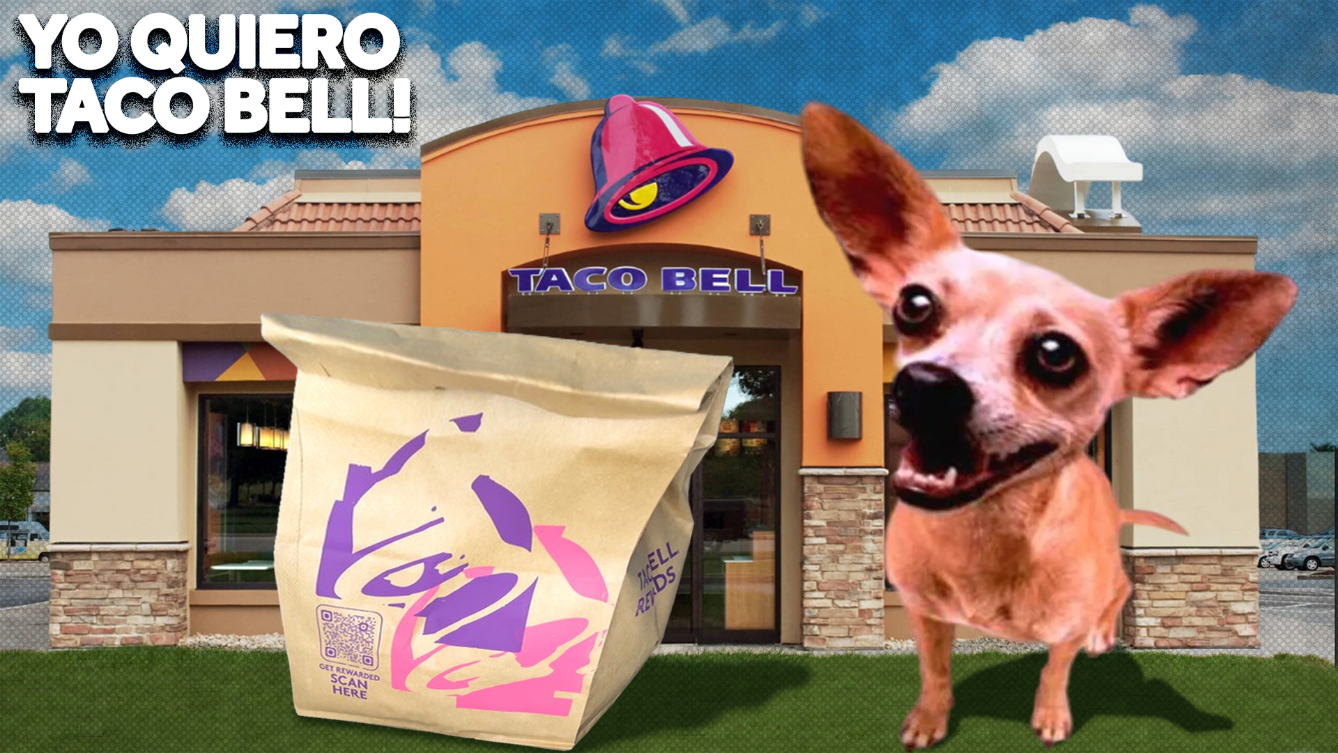 The fate of the Taco Bell chihuahua explained