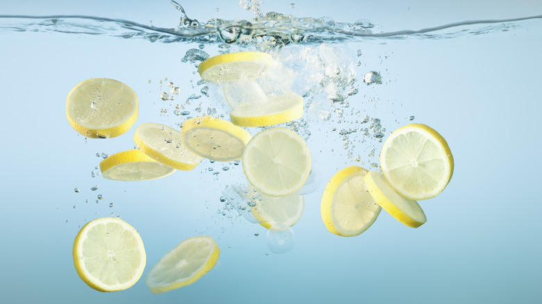 All your questions about lemons finally answered