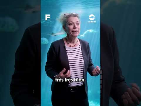 Le bien-être animal est quelque chose de très complexe!