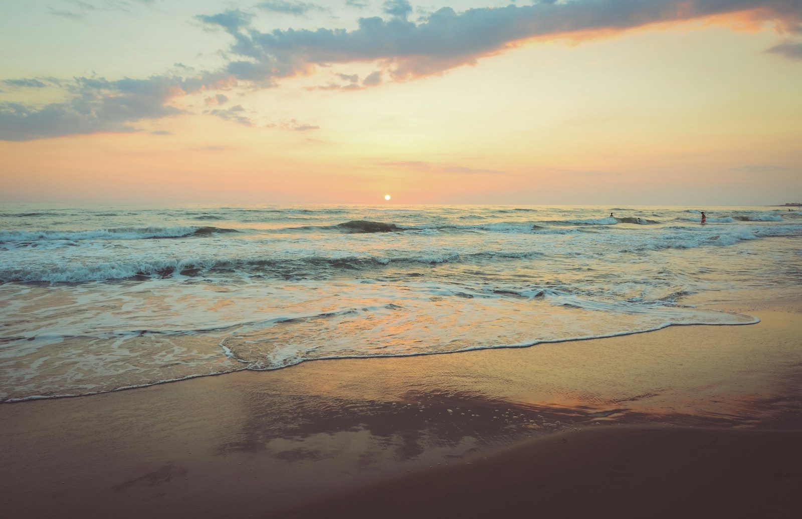 9 dream destinations for ocean life enthusiasts