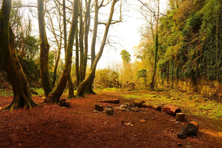 'Land' review: A secret Ireland