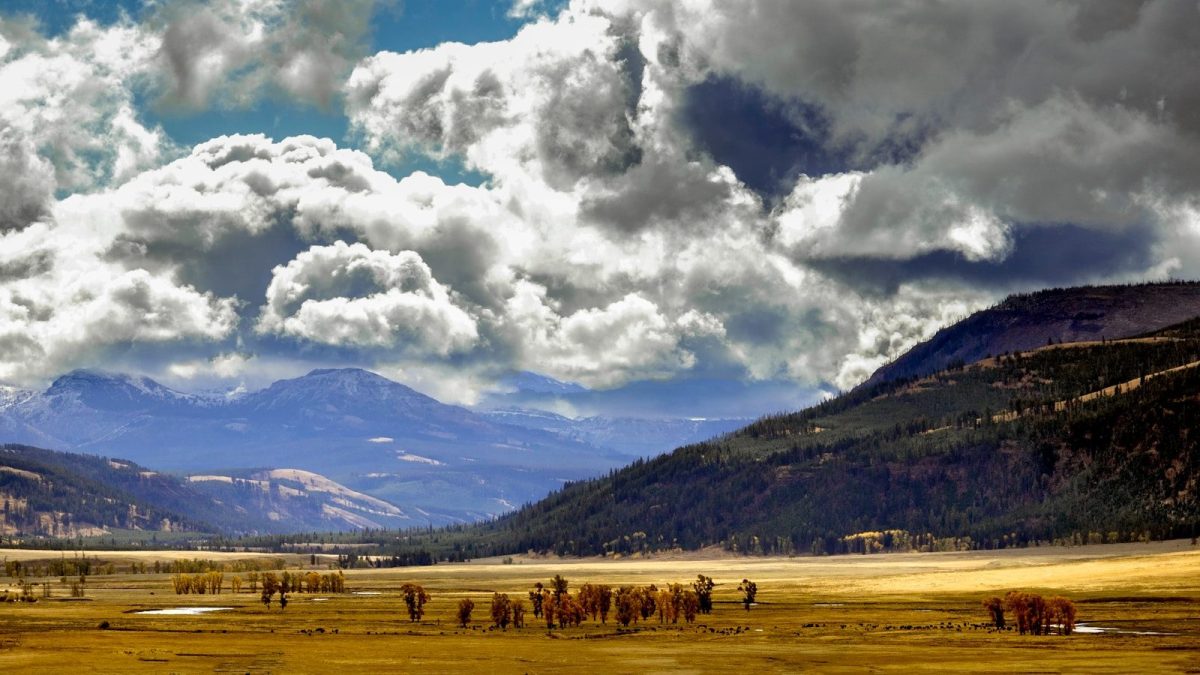 8 reasons Yellowstone should be on your 2026 travel list
