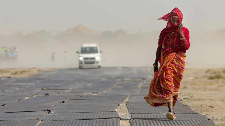 'Unrecognised disaster': NGT seeks response from Centre, states on ...