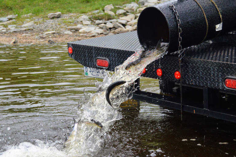 Maine sewage sludge crisis is 'still under a clock' even if landfill ...