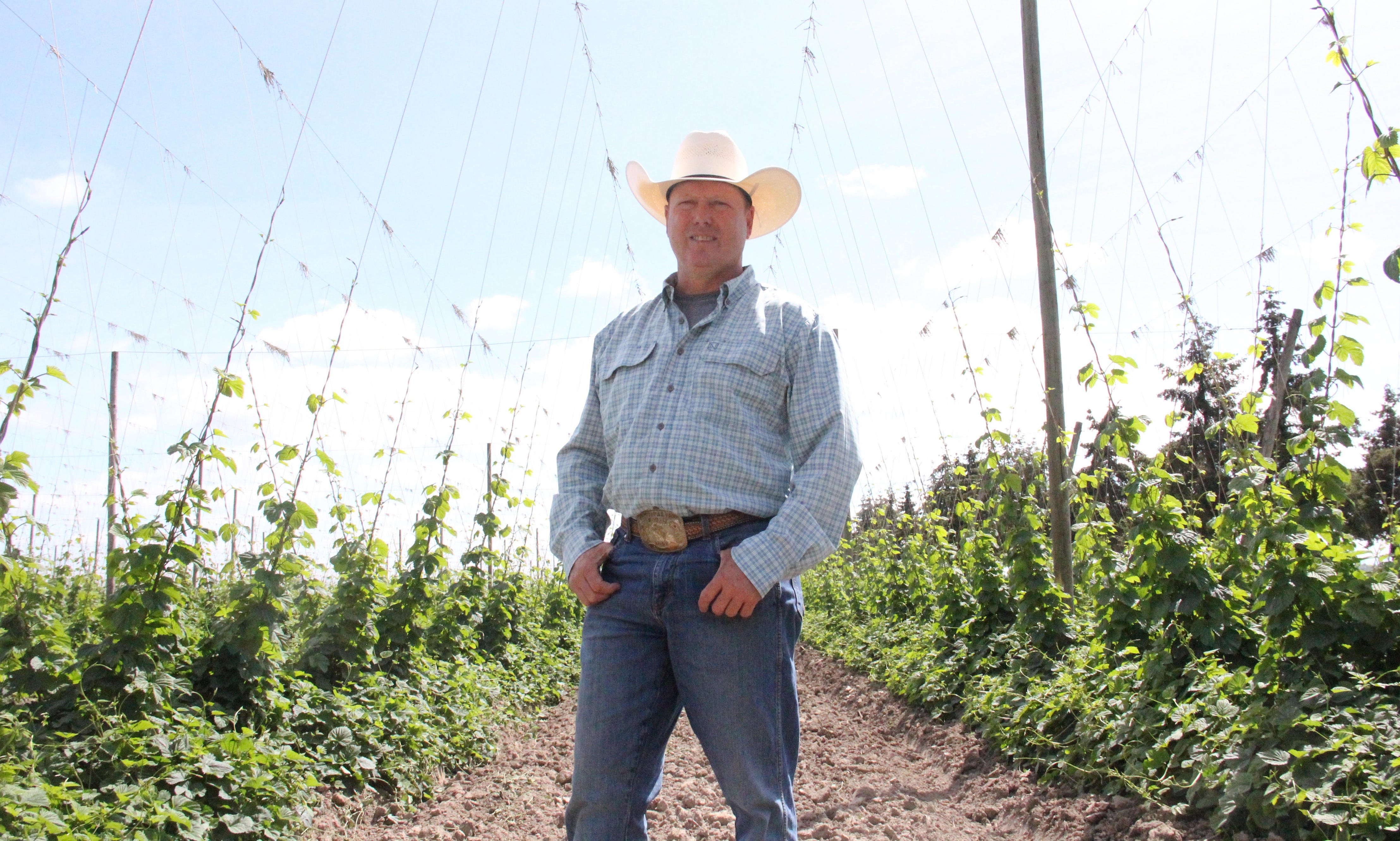 Retired cowboy hops grower's roots run deep in St. Paul