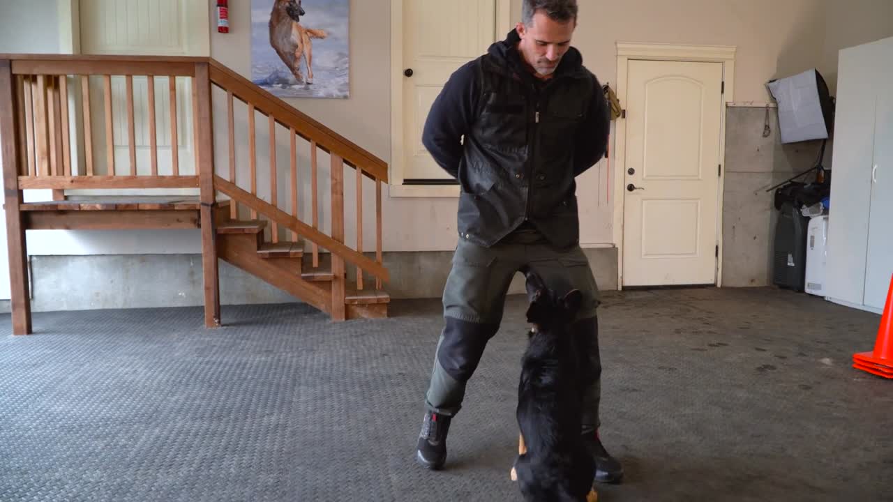 Discover the secrets to effective backward walking