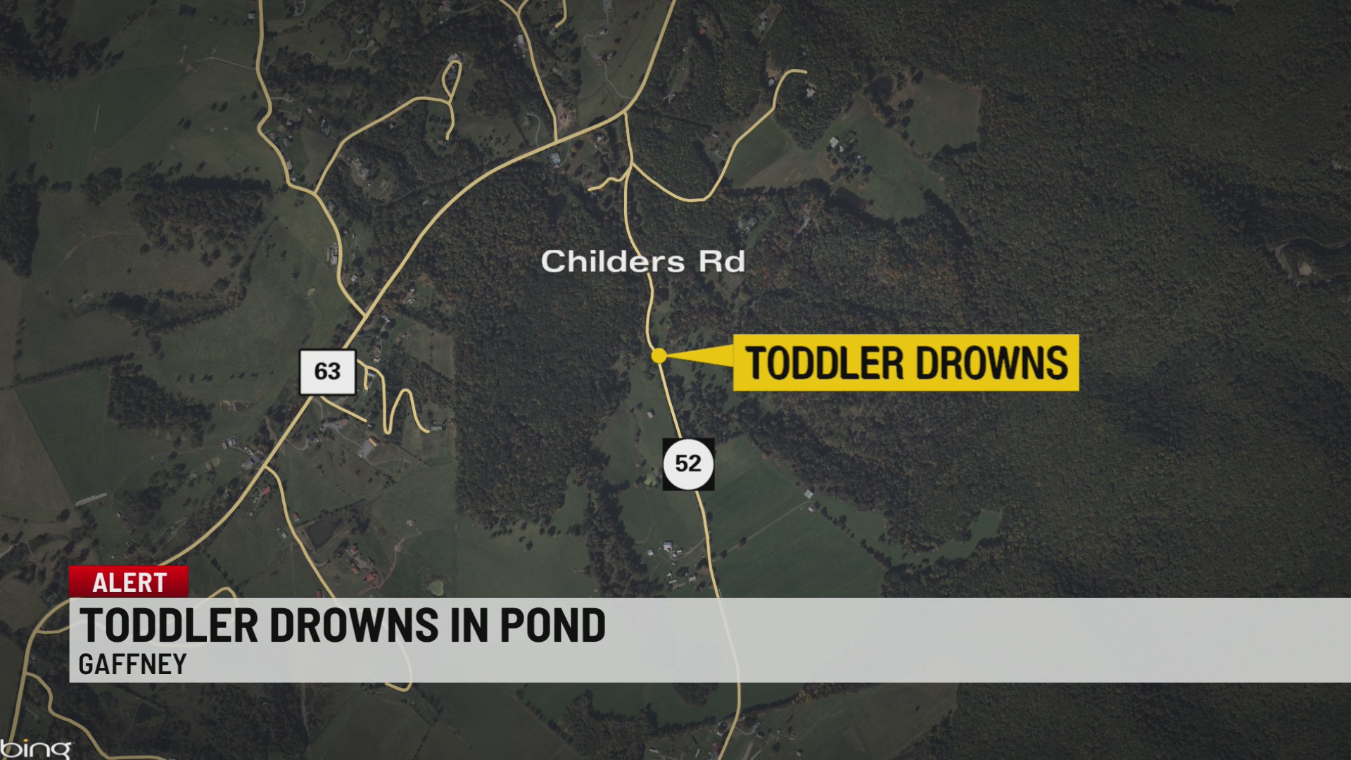 Gaffney toddler dies after wandering from home, found in pond