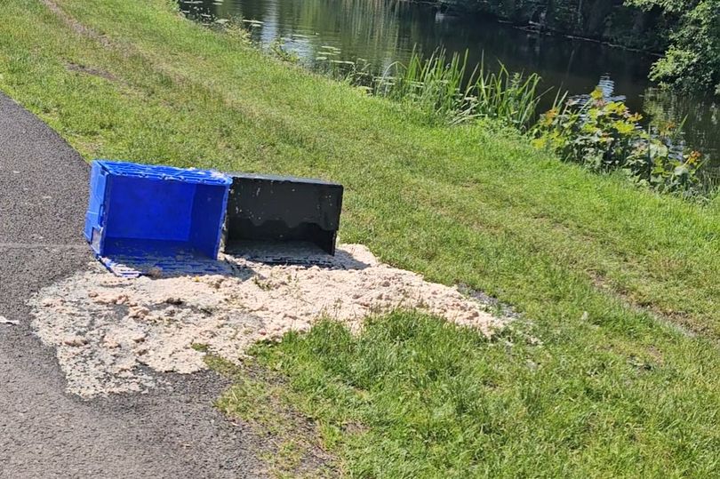 'I thought there was a dead body' - outrage as boxes of rotting meat ...