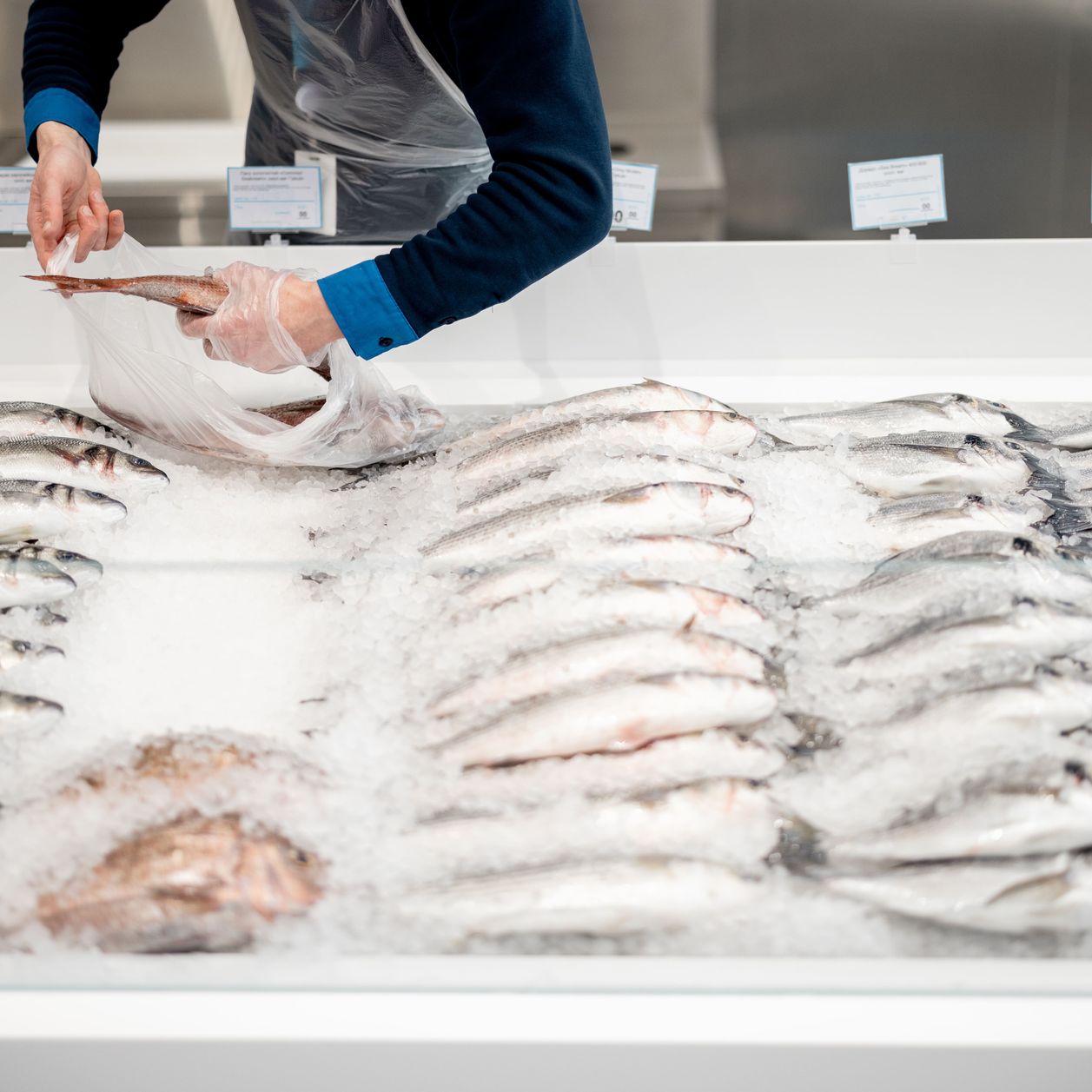 Poissonnerie : ce détail visuel qui vous fait croire à un poisson frais ...