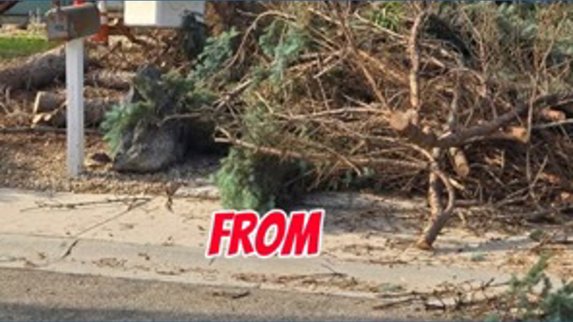 Storm damage