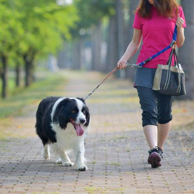犬に絶対NGな『リードの持ち方』5選 重大な事故やケガを引き起こすタブー行為まで