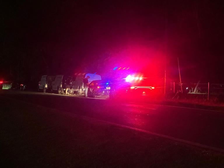 Human bones found in wooded area near Lakeland: deputies