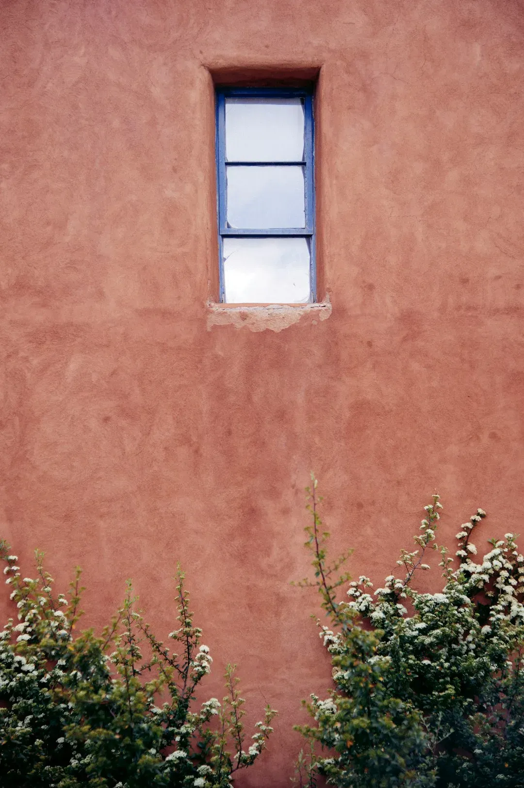 The forgotten paint colors making older homes look instantly modern