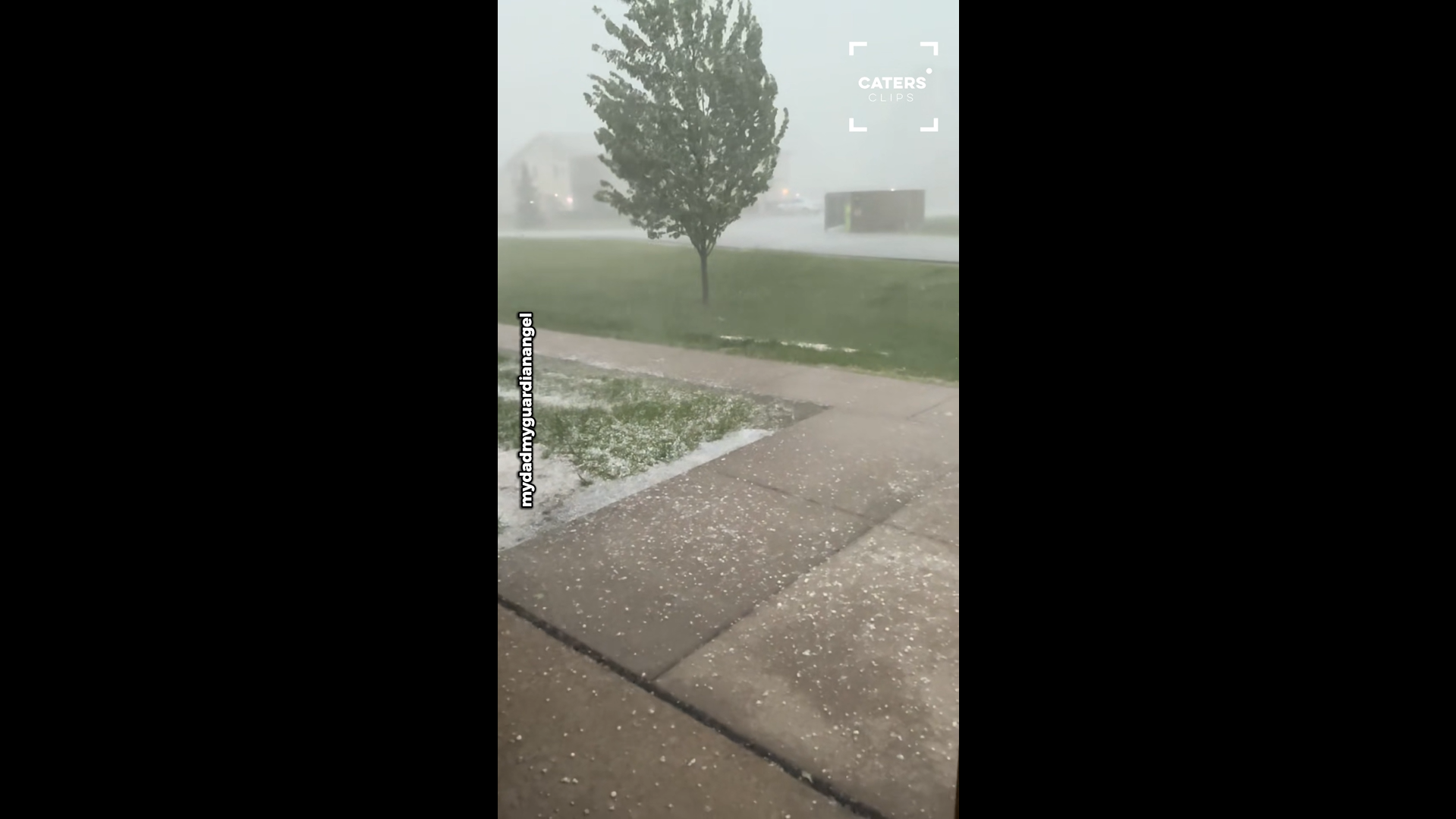 Baseball-Sized Hail Smashes Through Wisconsin Storm and Destroys Garden