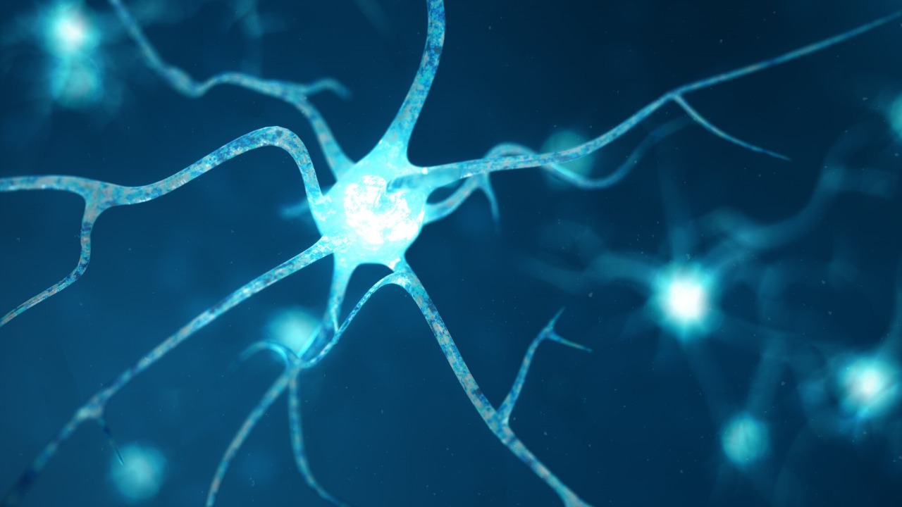 Newly identified enzyme IDOL just surfaced as a major target for ...