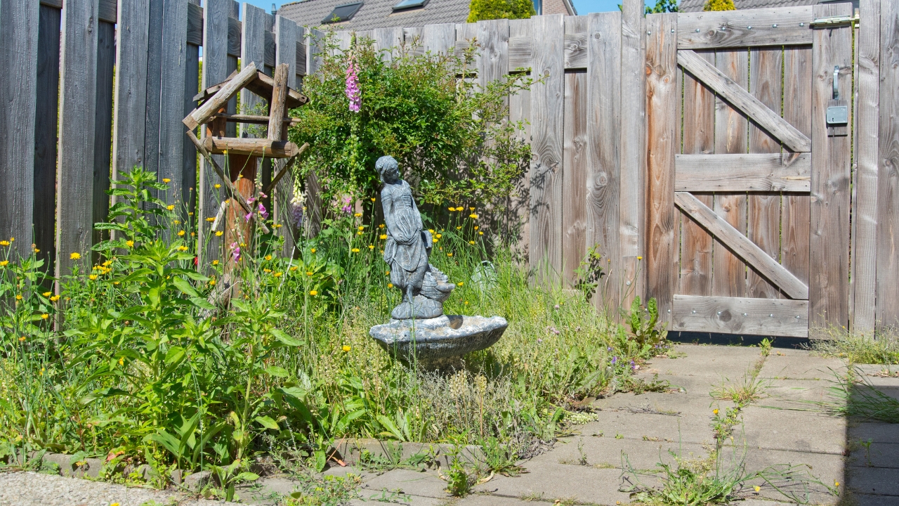 10 things that instantly make a backyard look neglected
