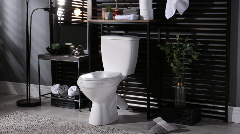 We put common household items in the toilet. Here's what happened